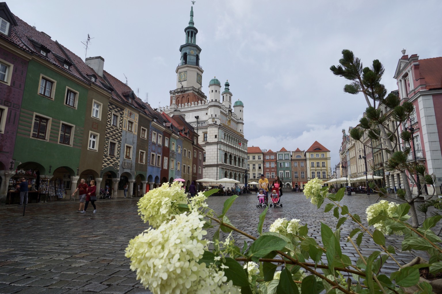 Polen - Vom Karpatenvorland an die Oder - Auf Achse